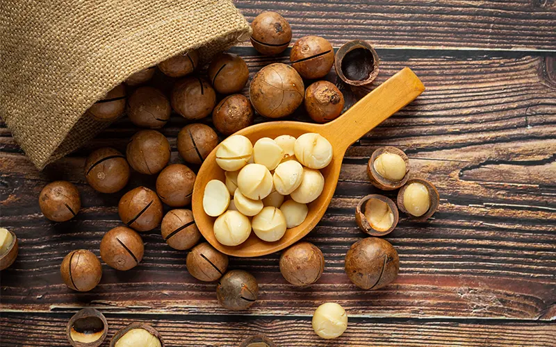 Shea nuts - Parin Africa Limited